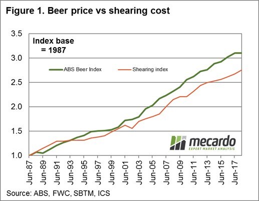 Beer and shearing: Cost of a pot outstrips wage per sheep - ABC News