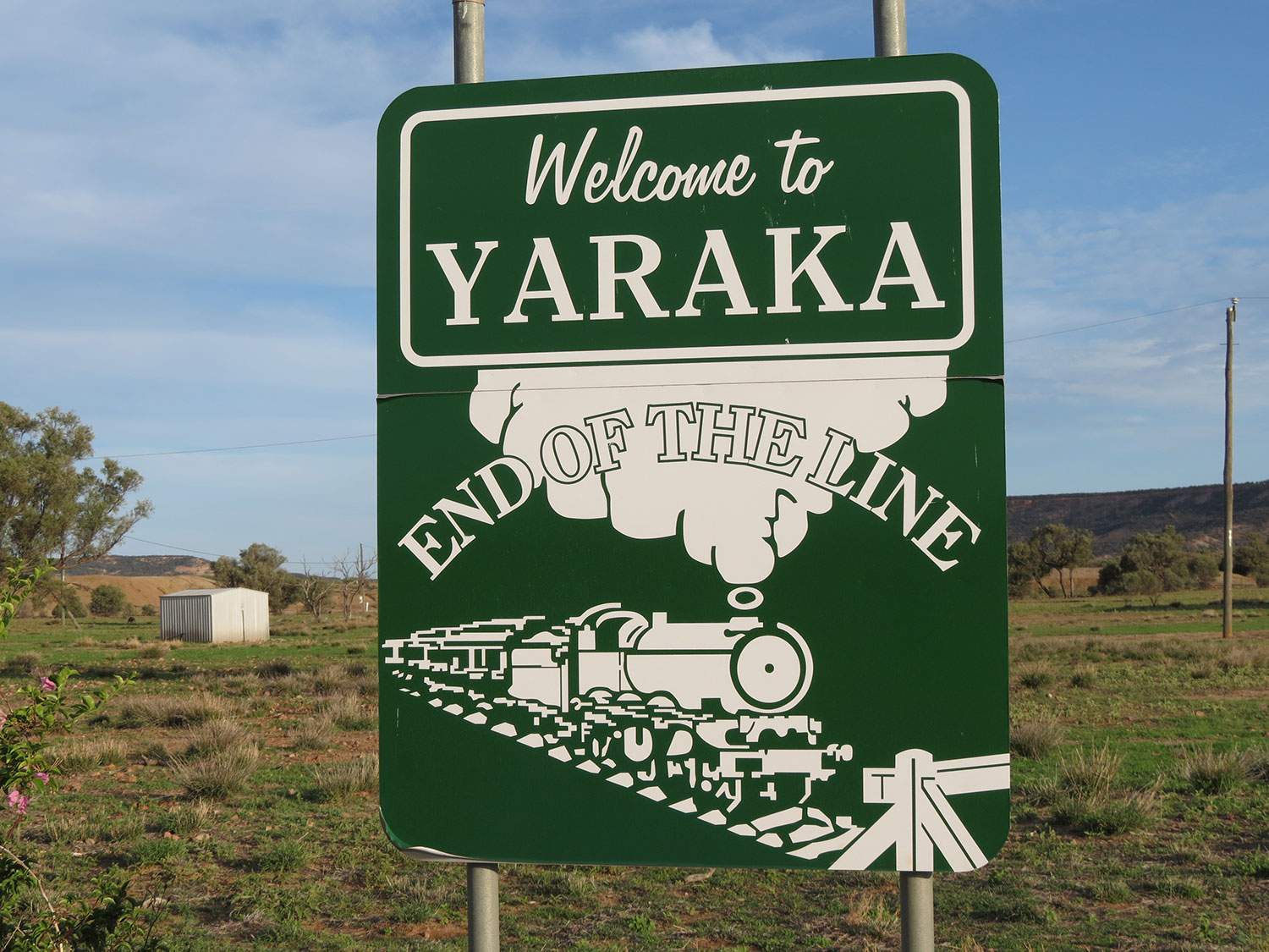 Emus put this outback town on the map. Now locals want their own ...