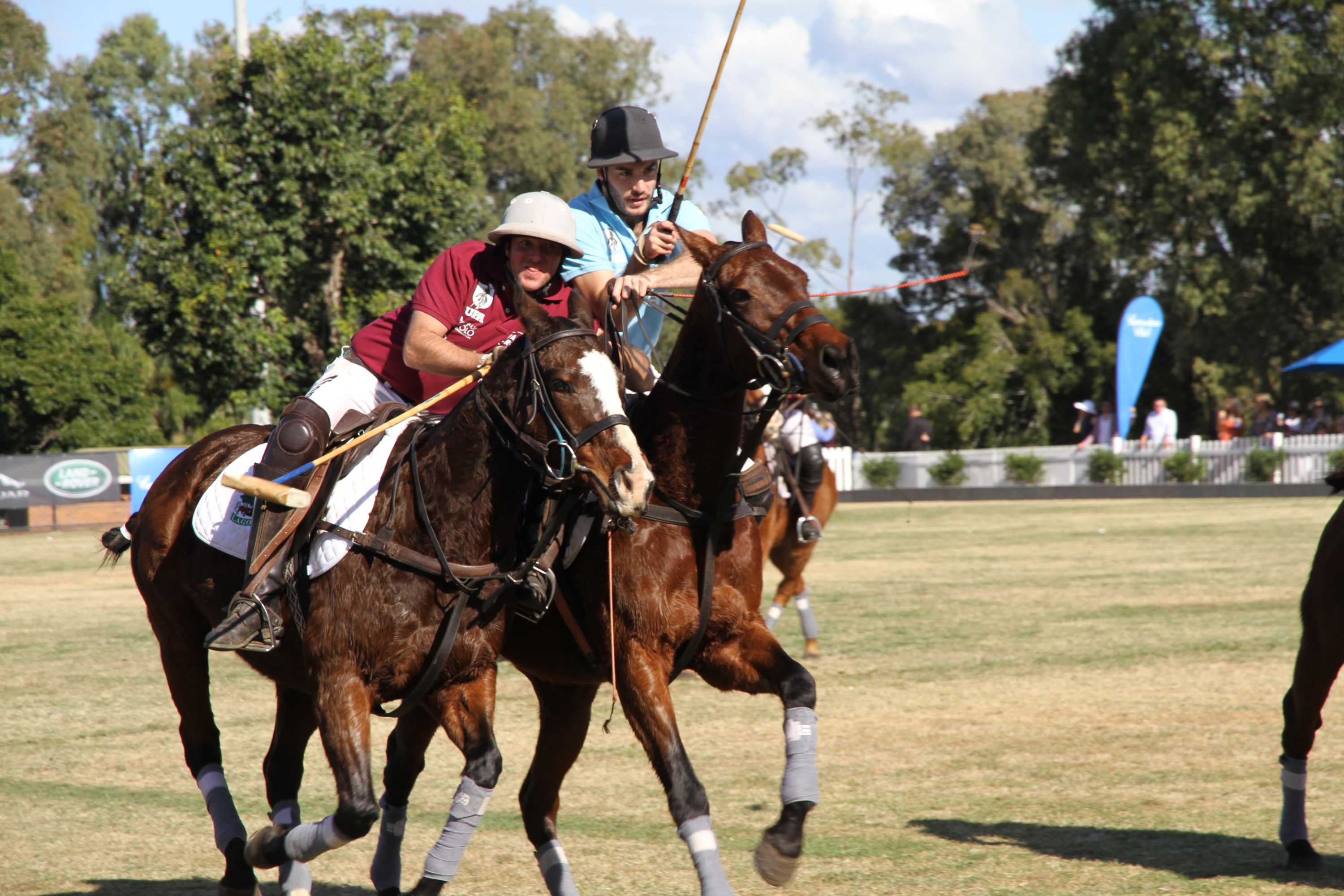 Polo pops up in regional Queensland - ABC News