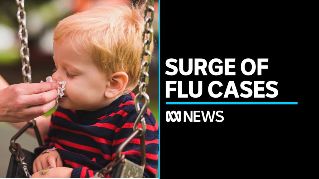 'Cautiously optimistic' for Labor: Casey Briggs - ABC News