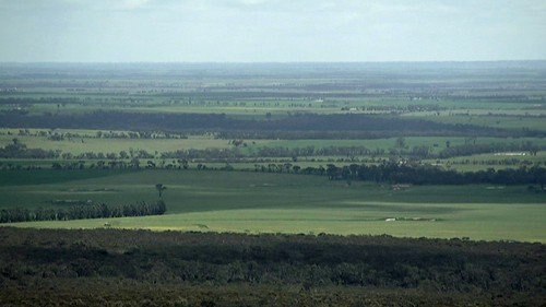 Linking the Landscape - Gardening Australia