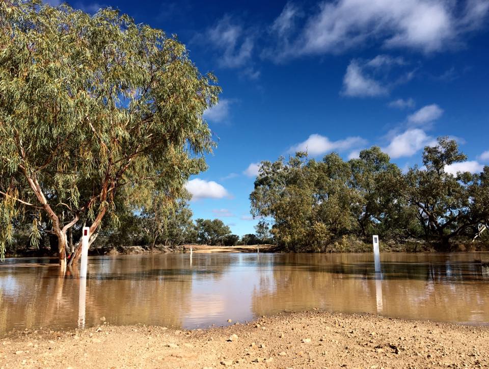 Western Queensland rain a godsend, but still far from drought breaking ...