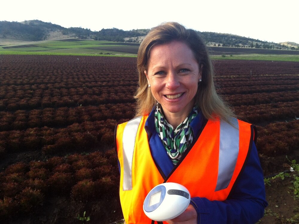 Tasmania gains a network of farm sensors - ABC News