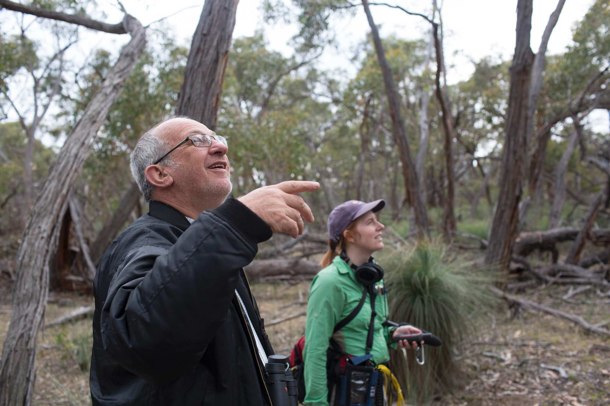 Bush blitz reveals state of critically endangered wildlife - ABC listen