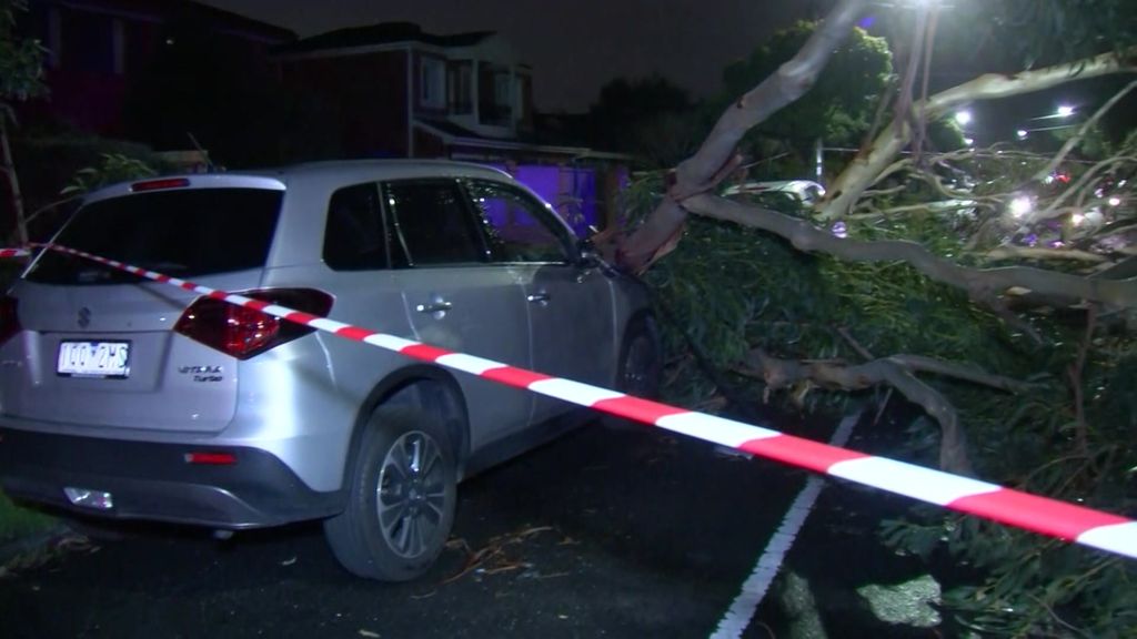 Strong winds hit Melbourne causing significant damage to cars and ...