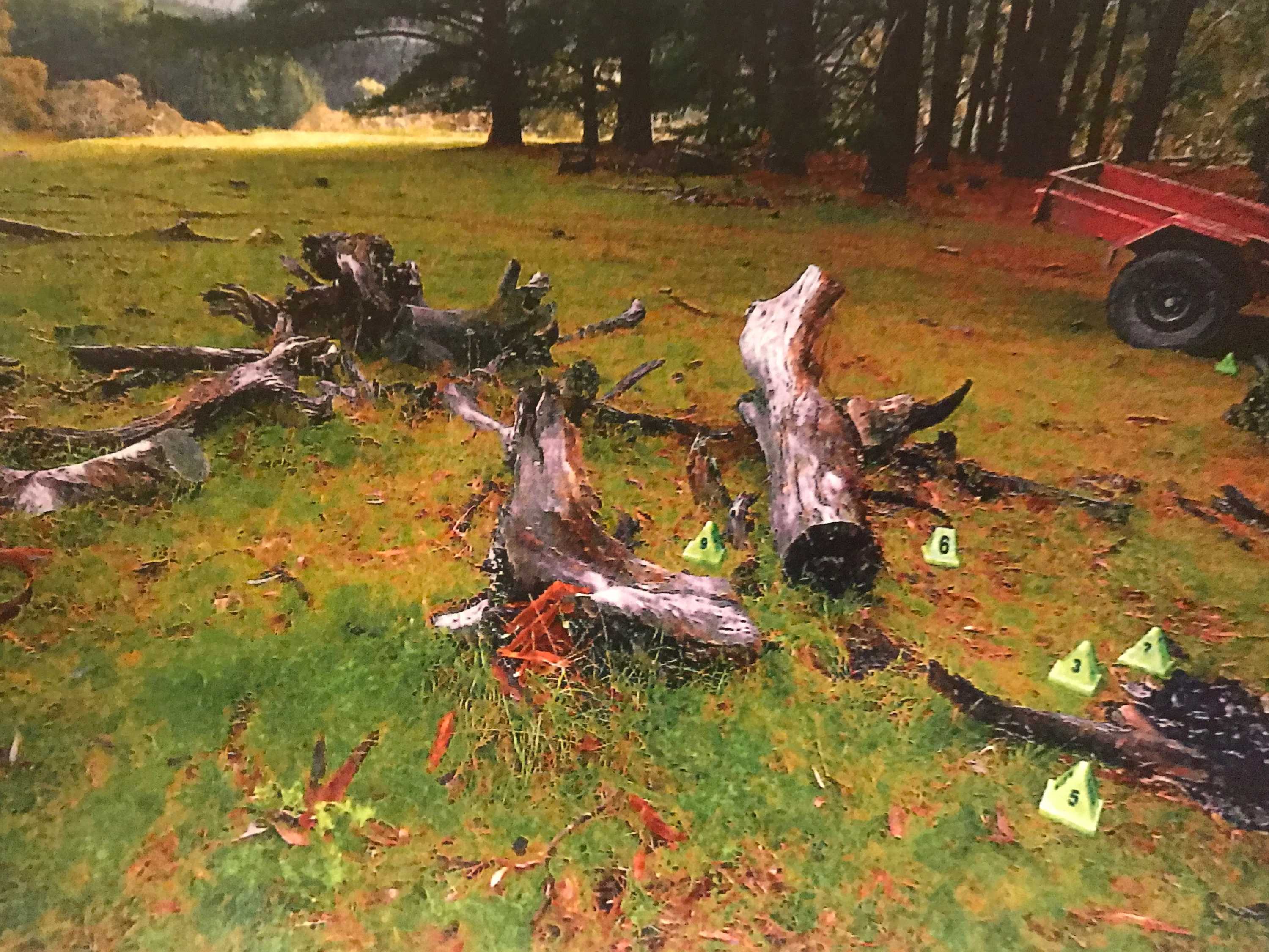 South Australian man acquitted of manslaughter over fatal forest ...