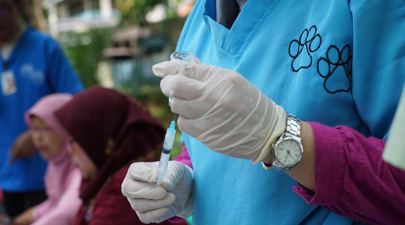 Jakarta takes on mammoth task of vaccinating thousands of animals ...