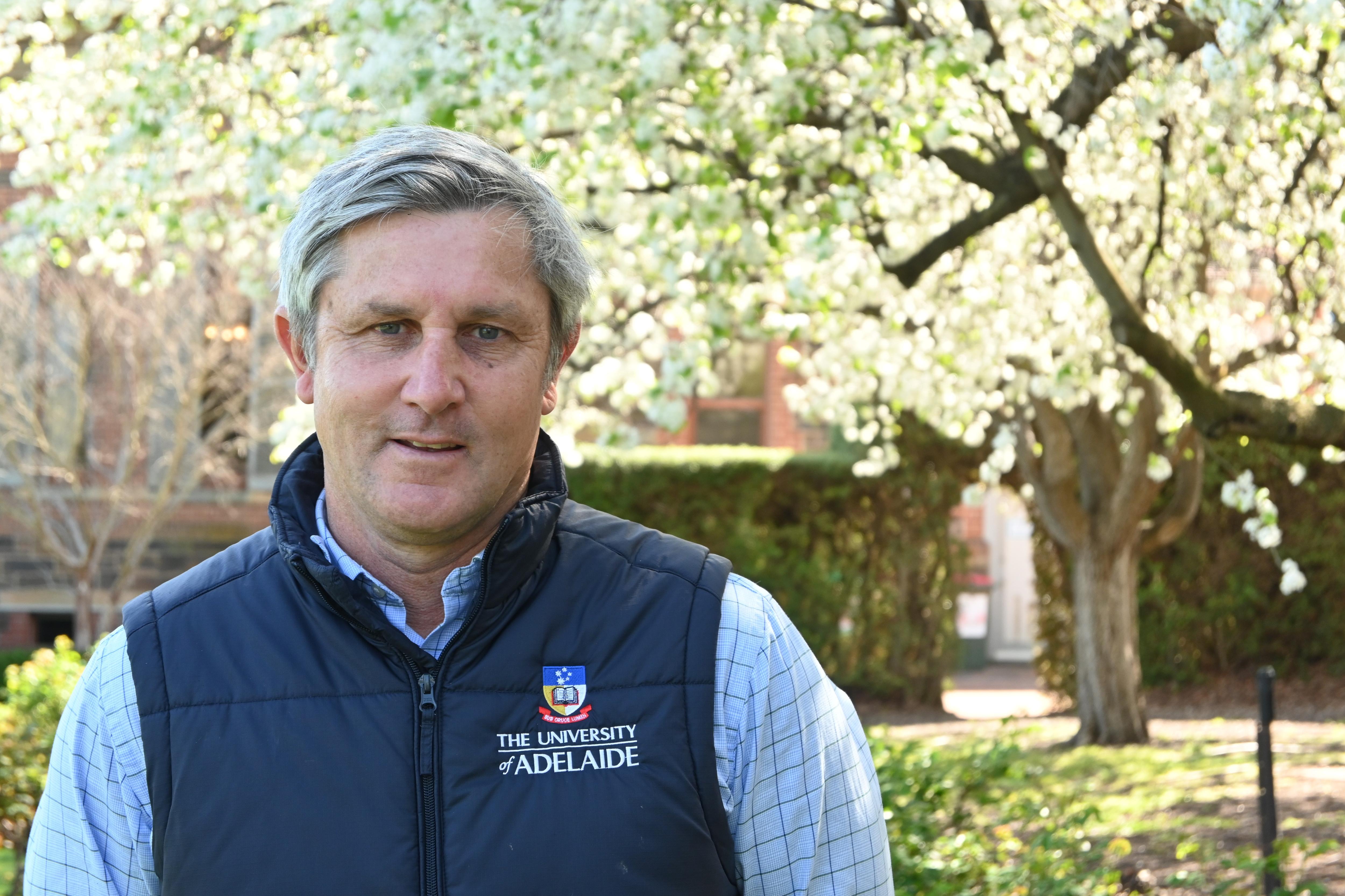 Murray River flood may not be to blame for SA algal bloom, Senate ...