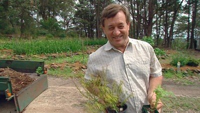 A Bush Food Garden - Gardening Australia