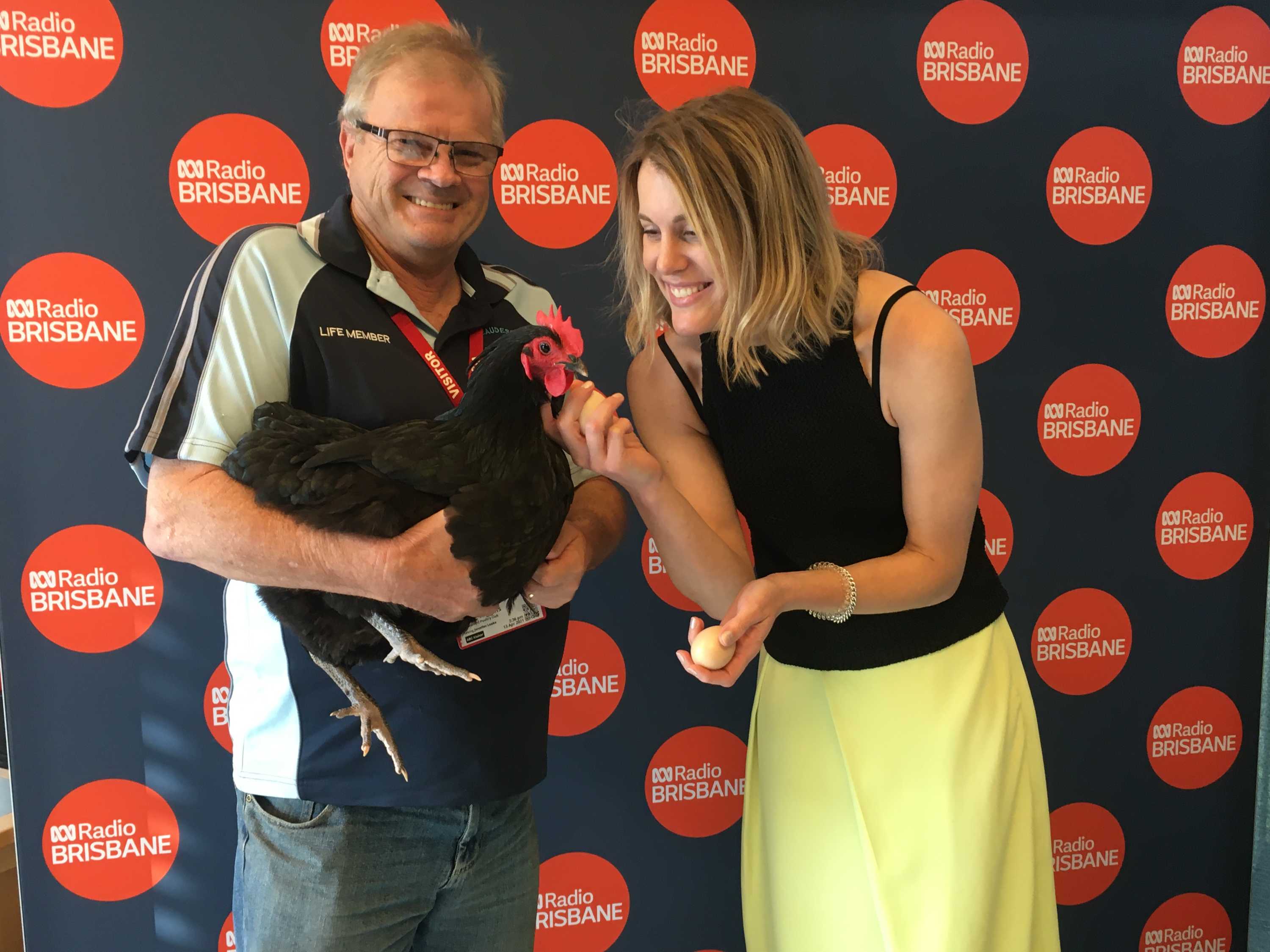 Tuesday Teams: poultry clubs - ABC listen