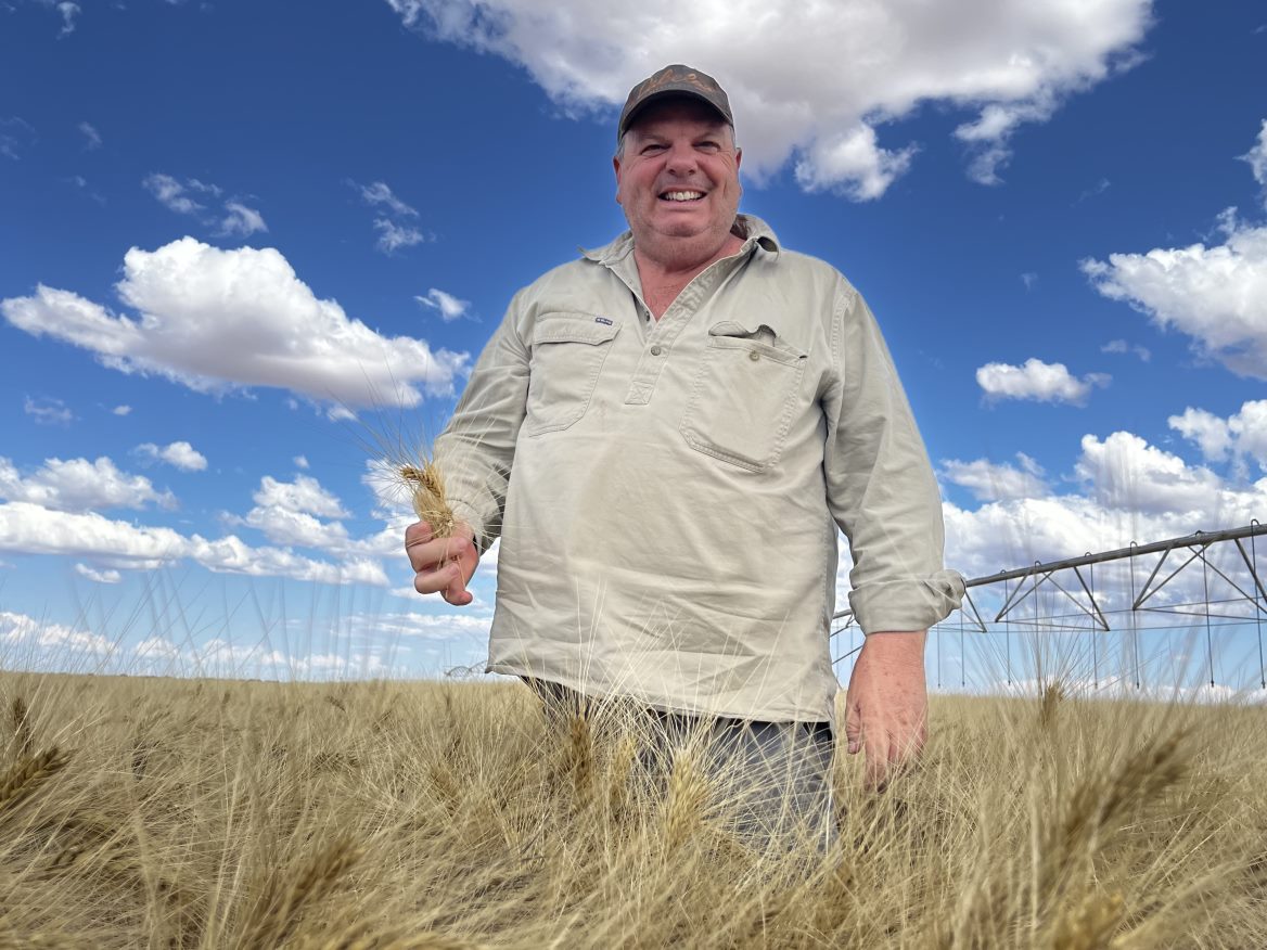 Central Australia harvests its first wheat crop in more than 45 years ...