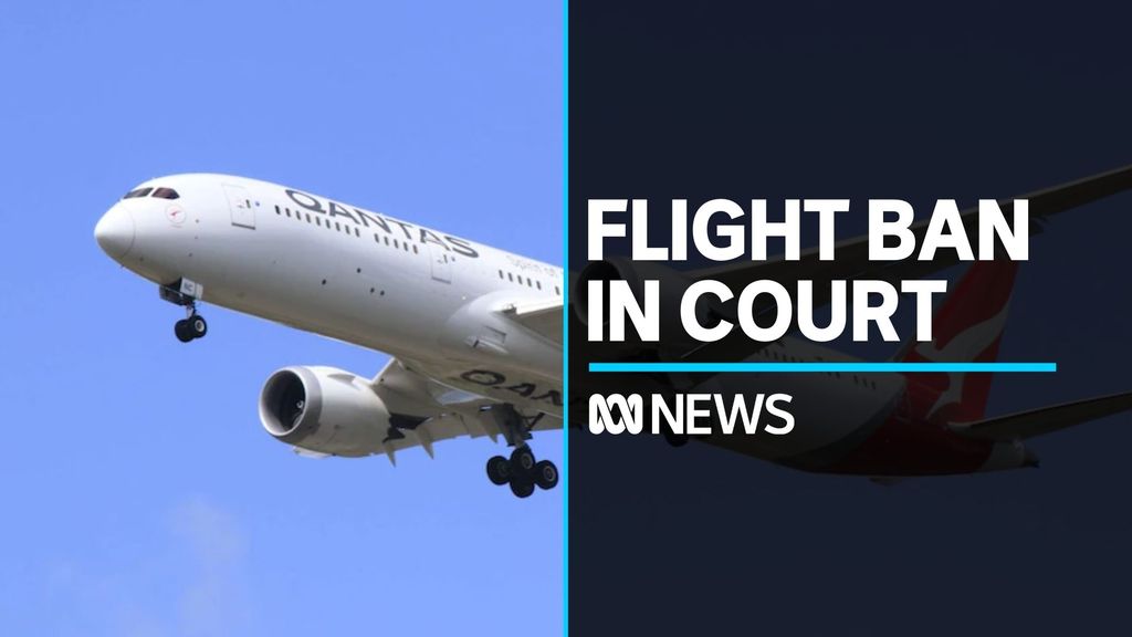 Federal court throws out part of challenge to India flight ban - ABC News