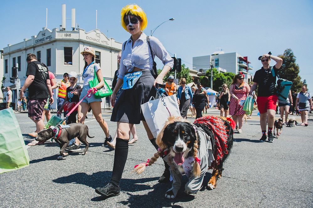 Howl-o-ween: Dogs and owners don costumes for walk on the bark side in ...