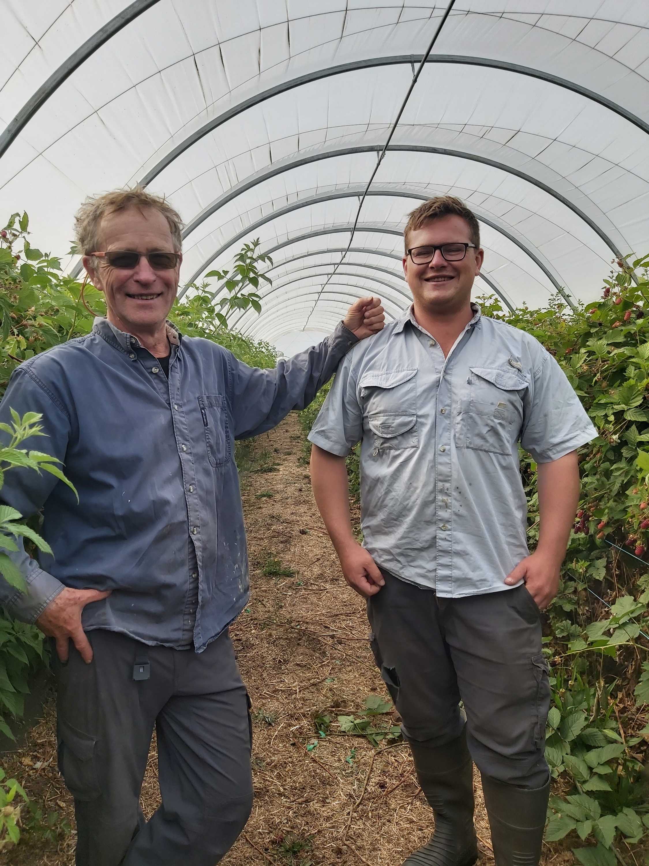 Family berry harvest on track - ABC listen