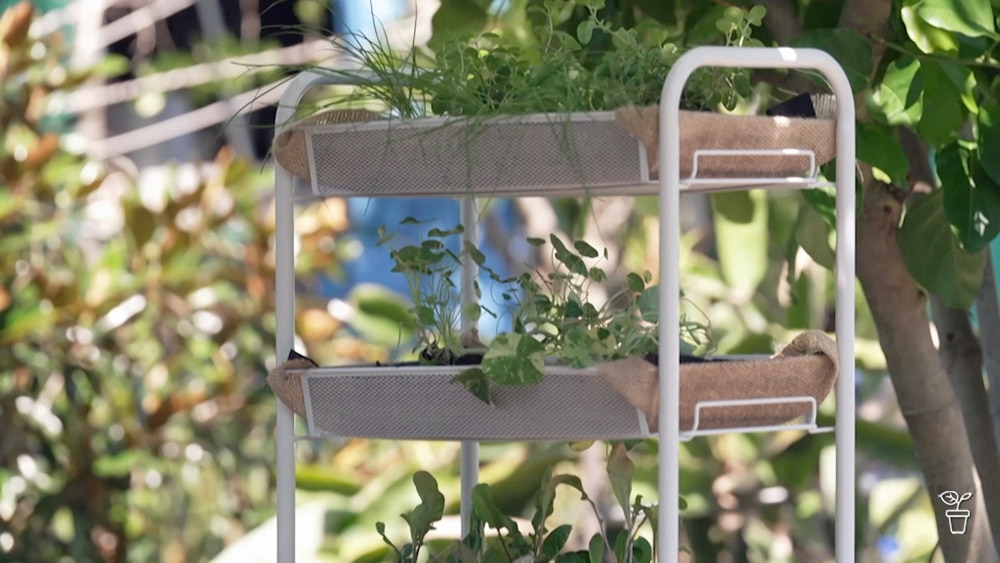 DIY Herb Trolley - Gardening Australia