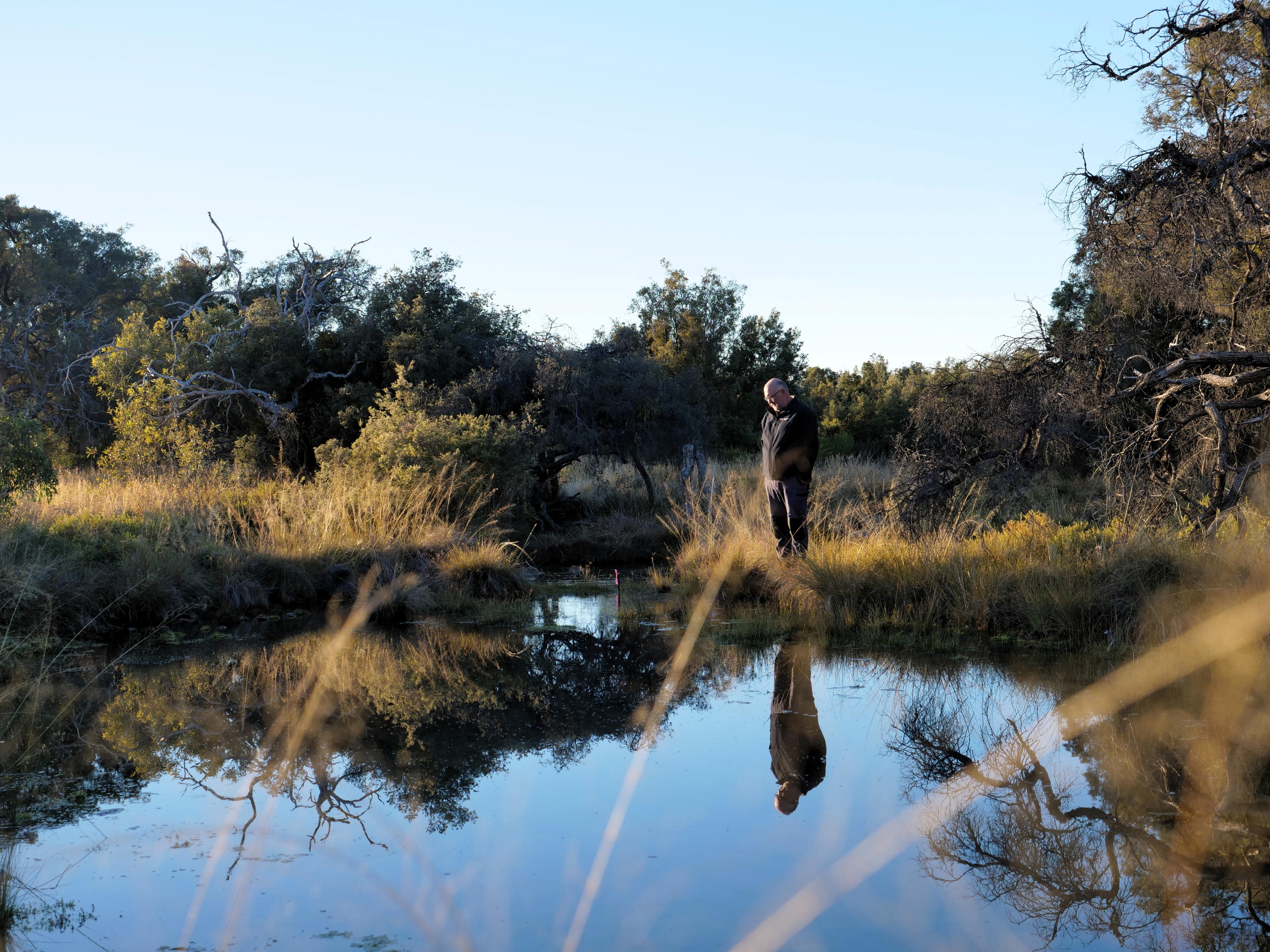 Newly protected Edgbaston Reserve in Queensland home to 37 species ...