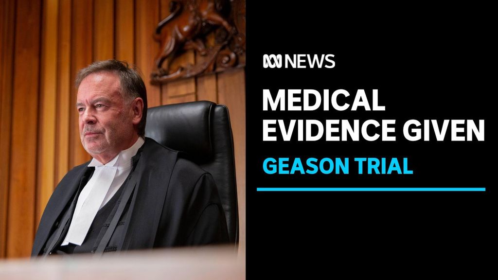 Medical evidence given on day four of judge's assault trial - ABC News