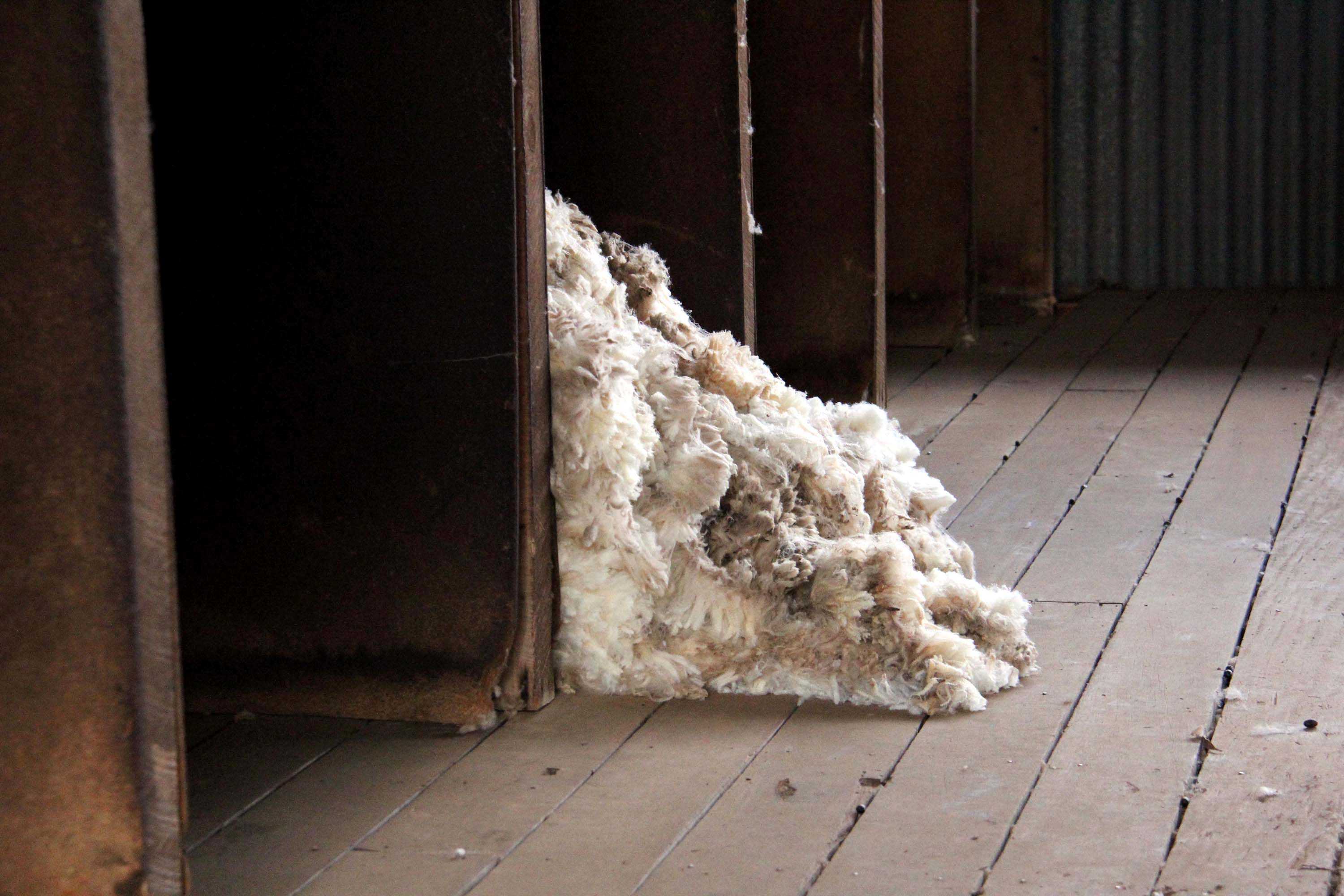 Wool prices hit four-year highs at frenzied auctions - ABC News