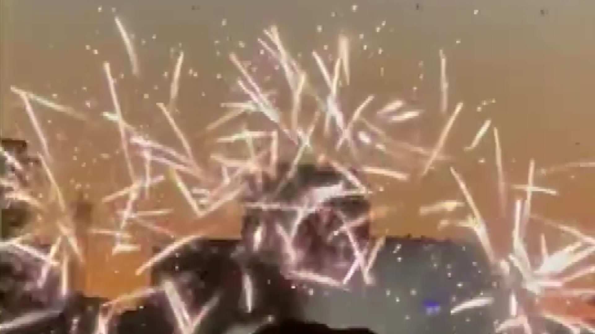Flying foxes filmed flying through fireworks - ABC News