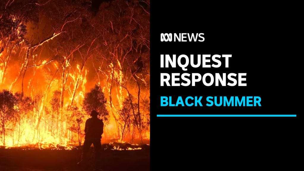 Communities digest Black Summer bushfire report - ABC News