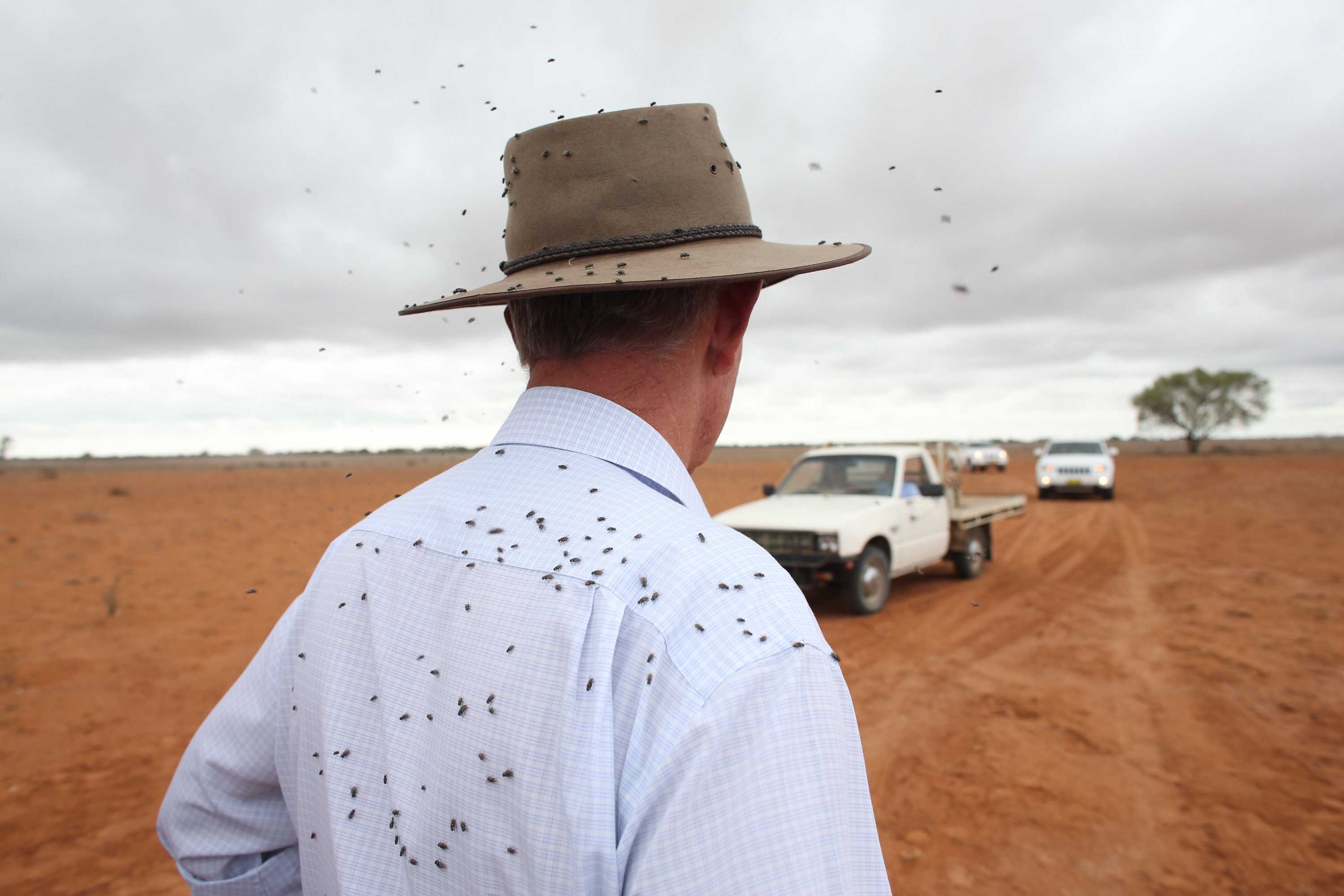 Politics in the bush—the story of the Nats - ABC Radio National