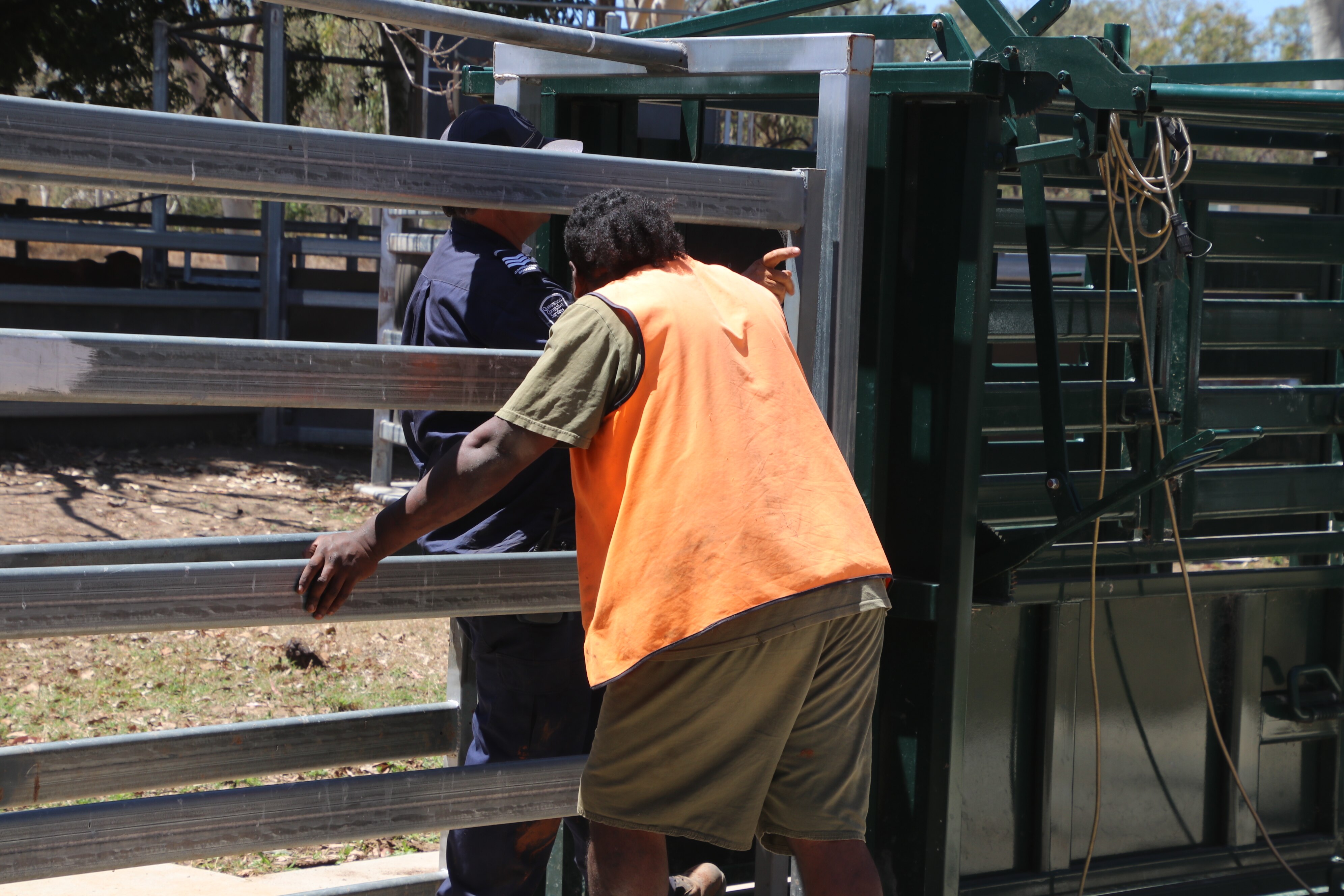Lotus Glen prison farm gives inmates sense of purpose, agricultural ...