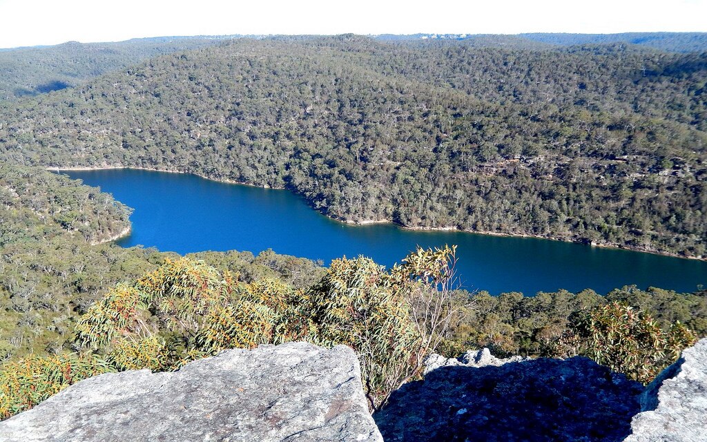 Eora Nation 57: Indigenous walking tour of Ku-ring-gai National Park ...