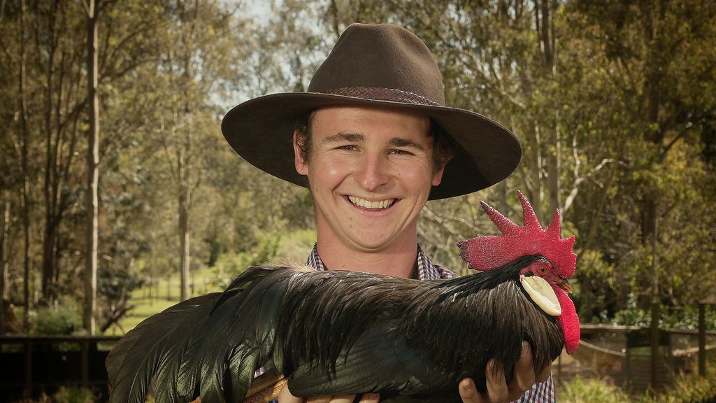 Fifth generation chook breeder wins the ultimate crown - ABC News