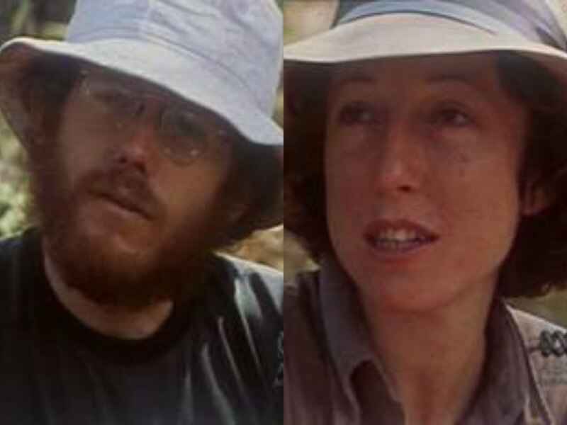 Forget Survivor or Lost — a group of Australians were sent into the ...