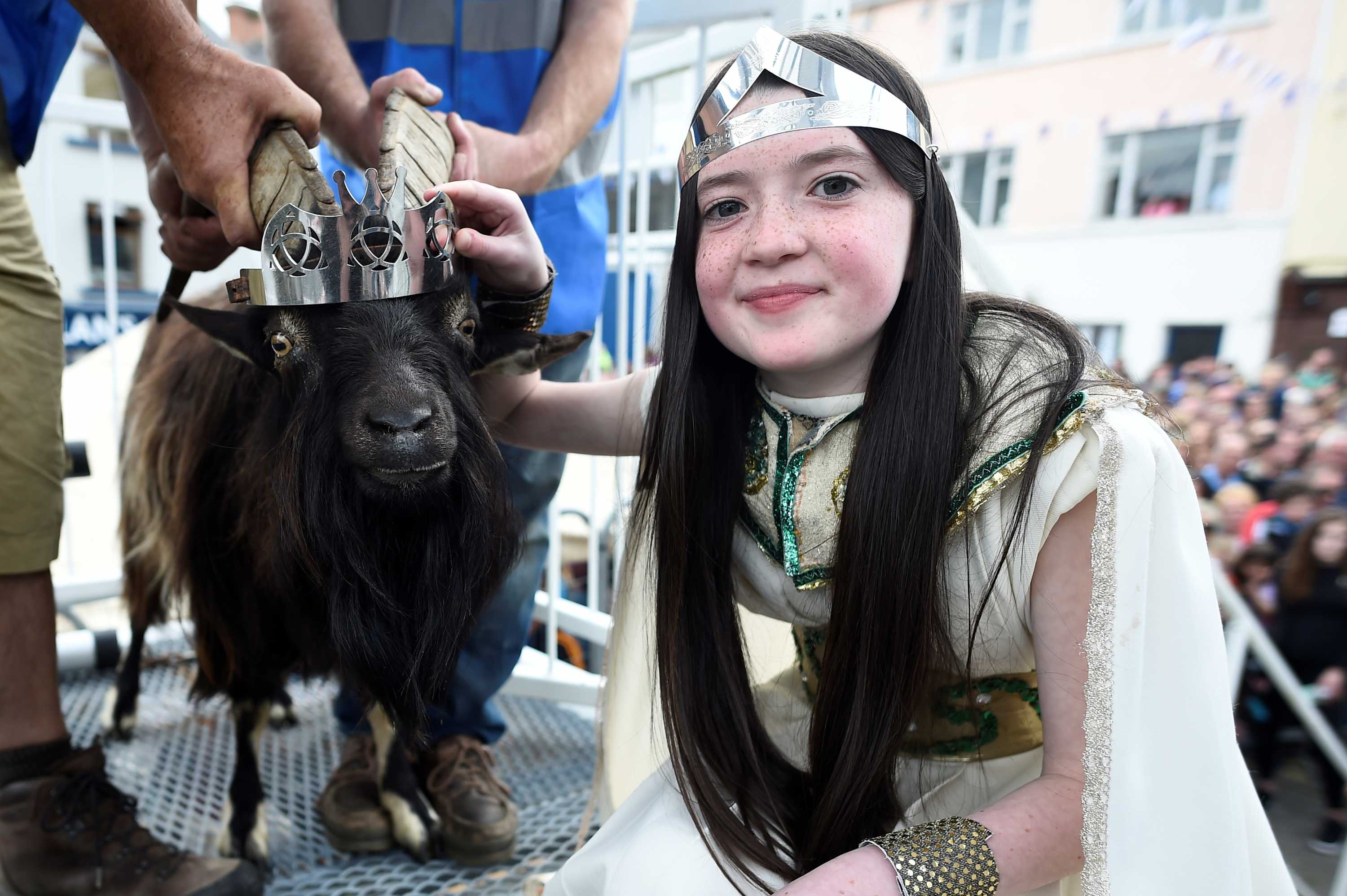 Puck Fair: In a remote Irish town, a goat reigns supreme — for a few ...