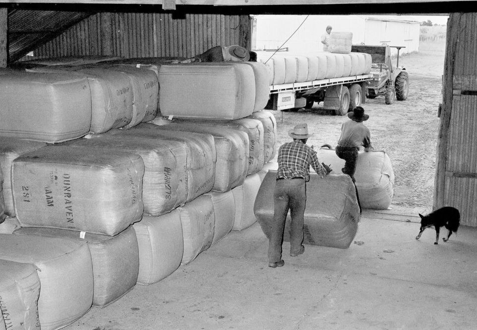 Western Queensland wool country still fighting to bring wool back 30 ...