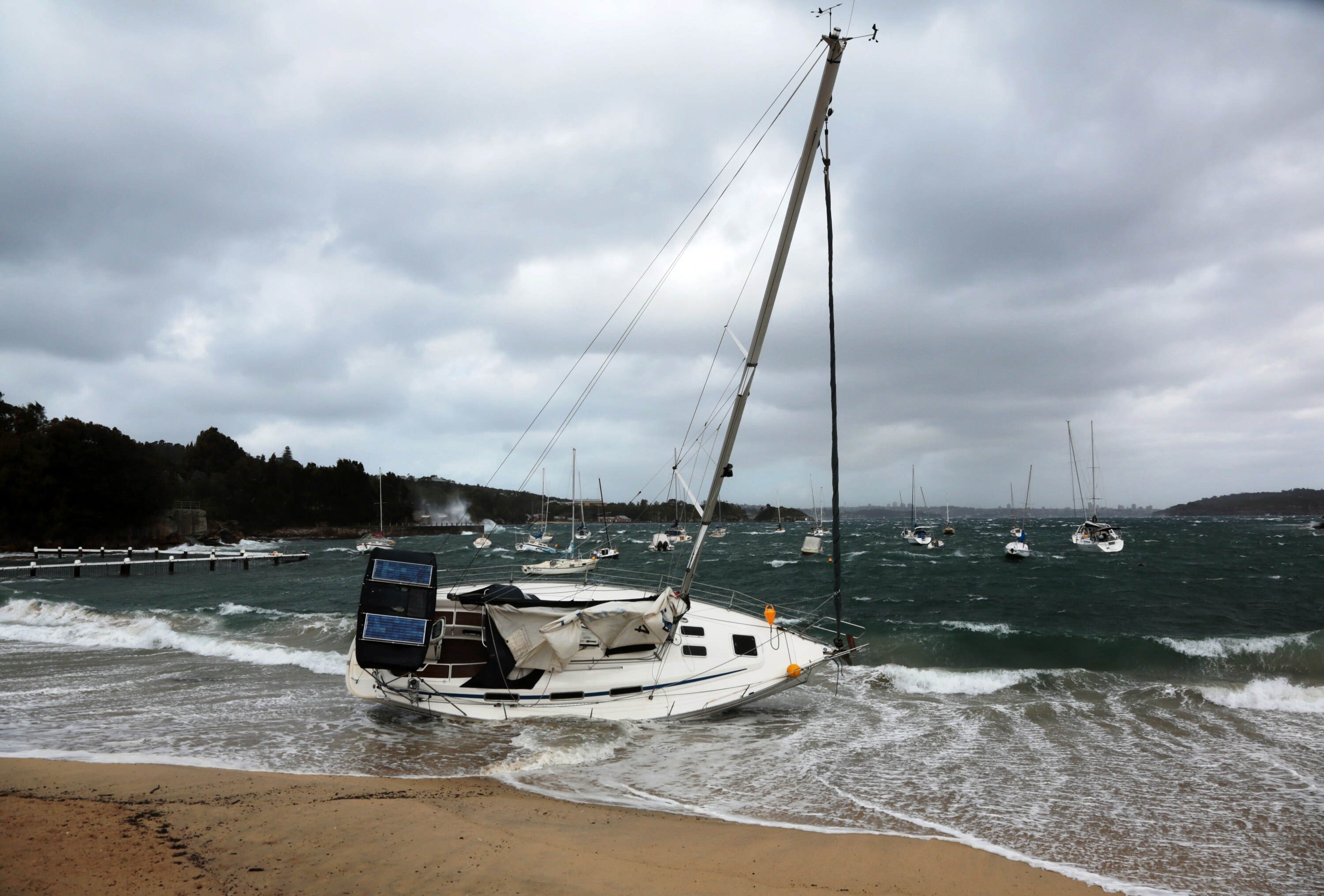 Thousands without power as winds lash Sydney - ABC News