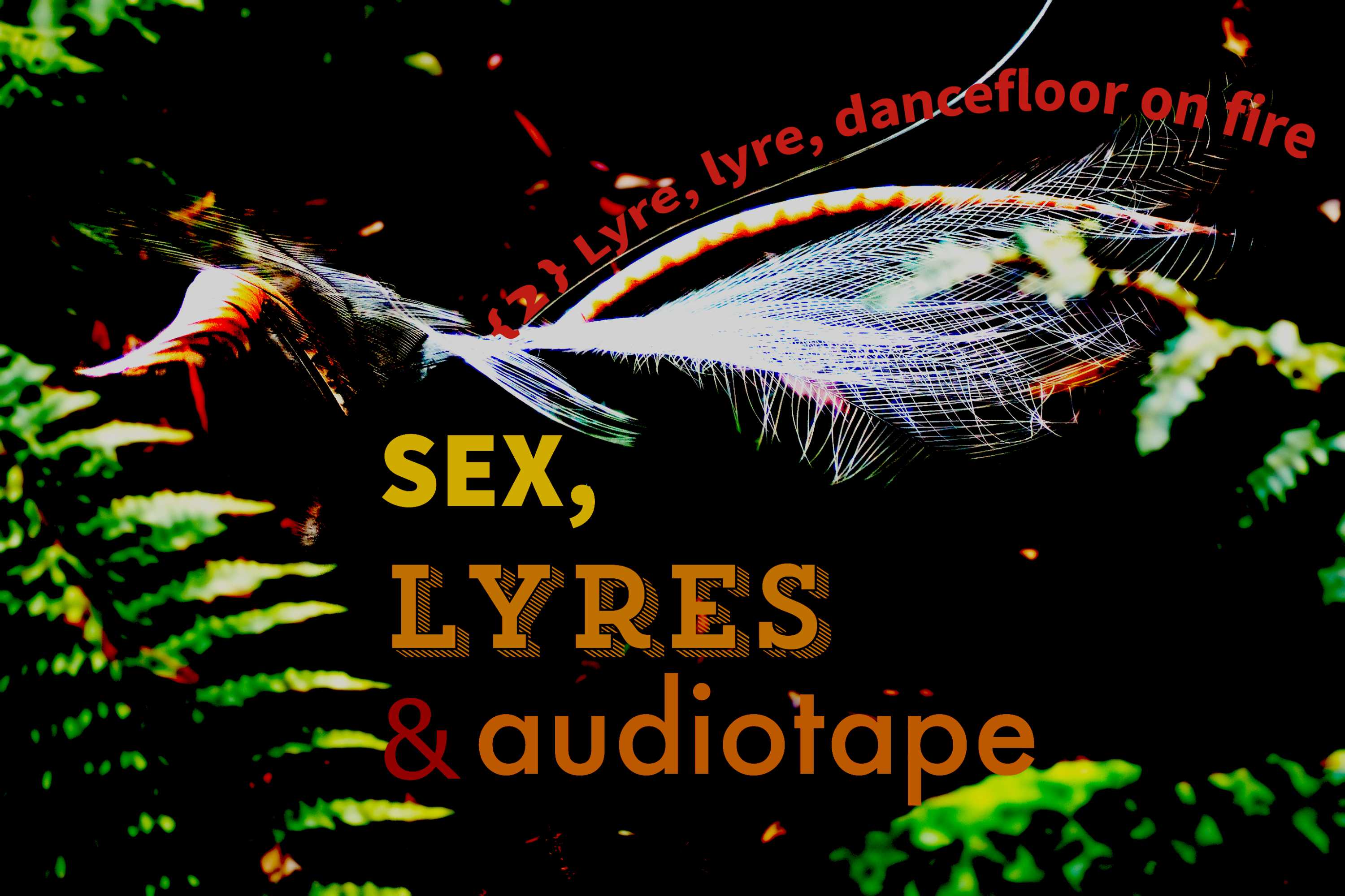 Lyrebirds - Lyre, lyre, dancefloors on fire - ABC listen
