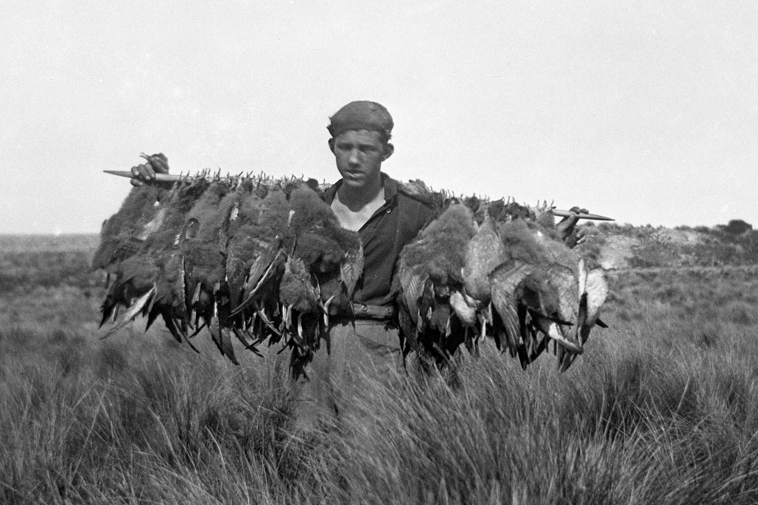 Jane Giblin's artistic celebration of family's generations of ...