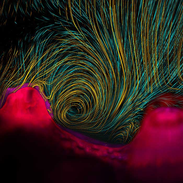 12 winning science visualisations take you from the sea to the stars ...