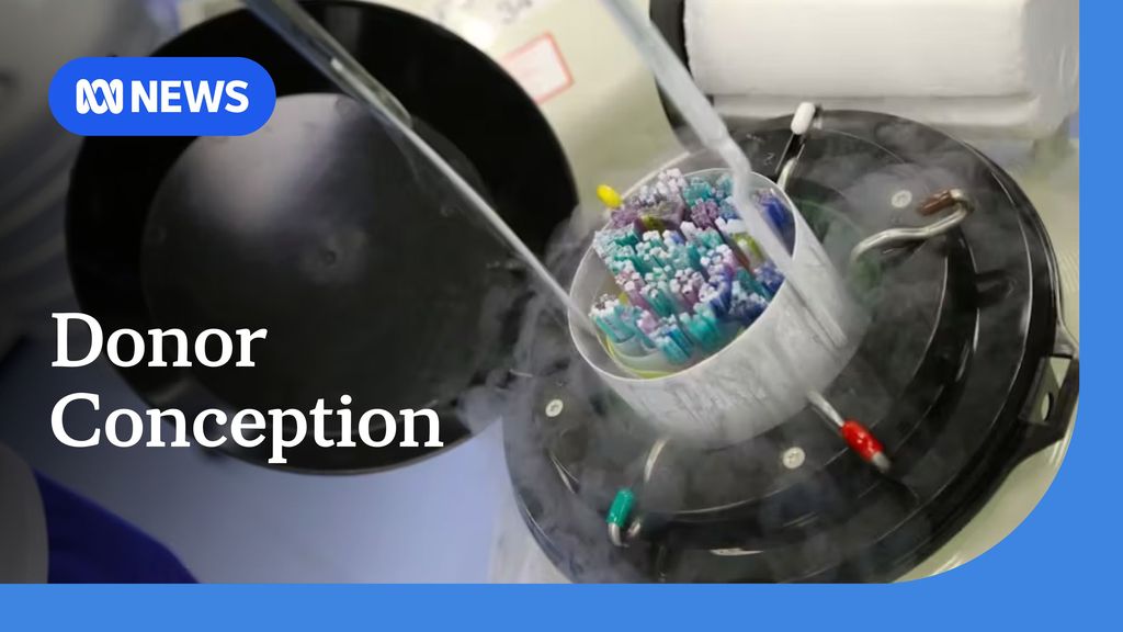 Donor parents to be disclosed to their biological children on new SA ...