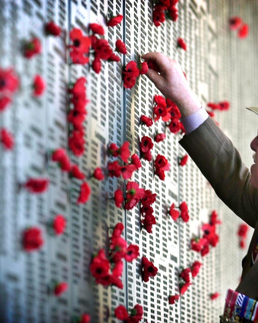 Veteran slams union for staging protest on Remembrance Day - ABC News