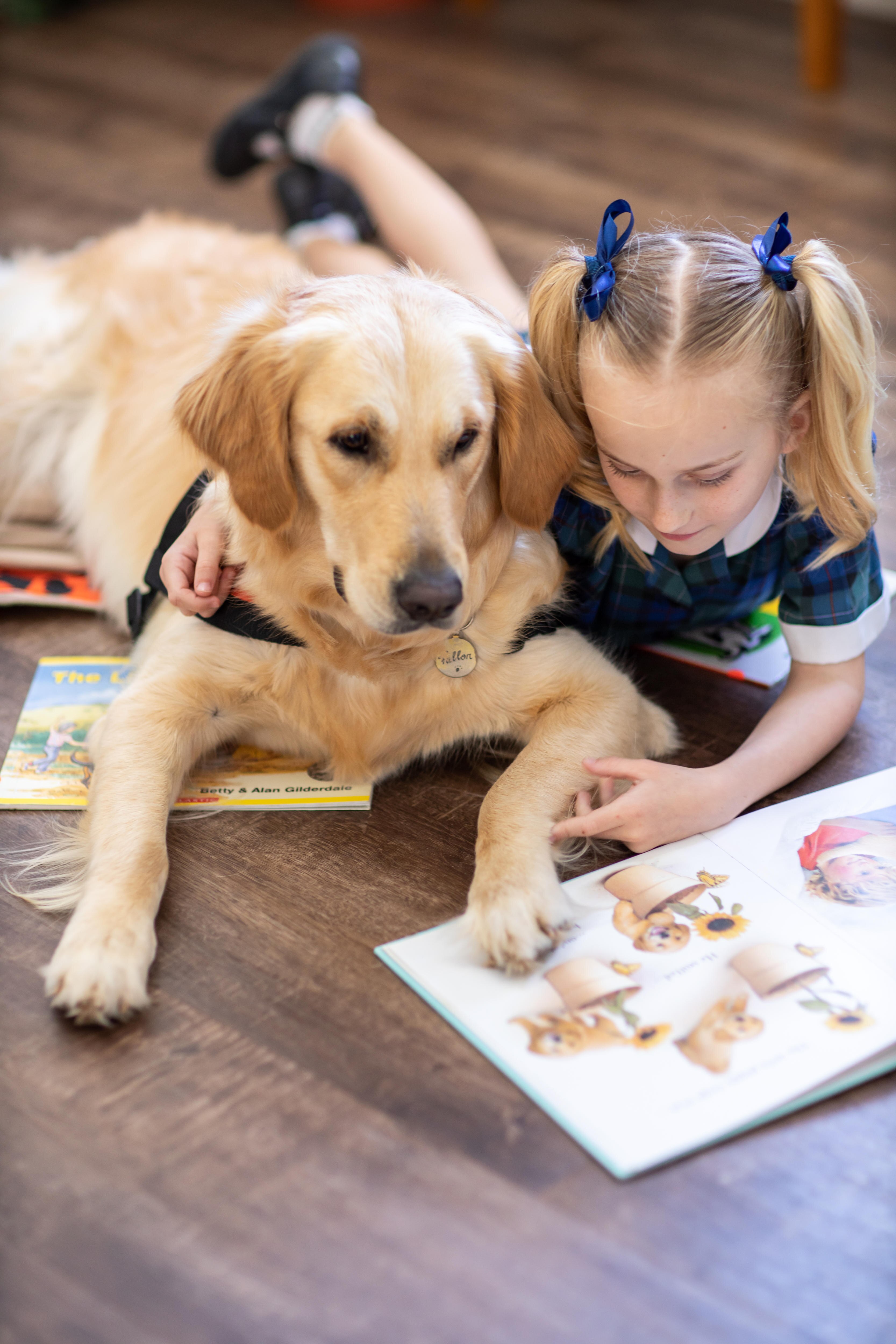 Story Dogs reading program provides positive, calm…