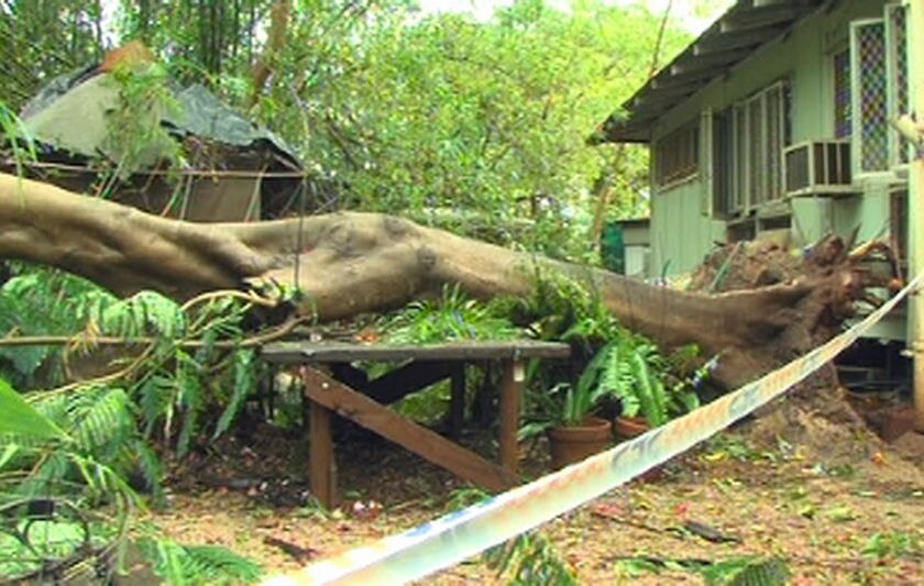 Cyclone could reach NT border - ABC News