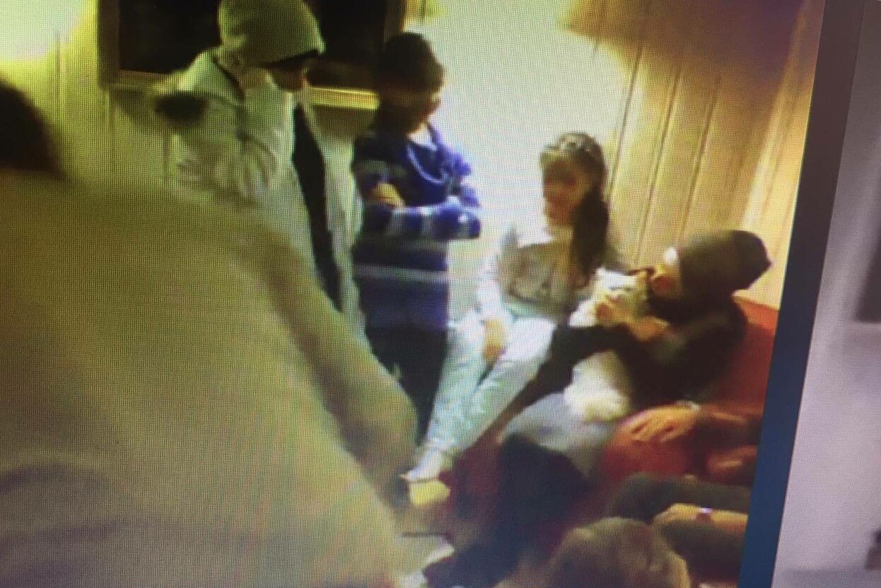 'Refugee cat' Kunkush reunites with Iraqi family after four-month, 4 ...