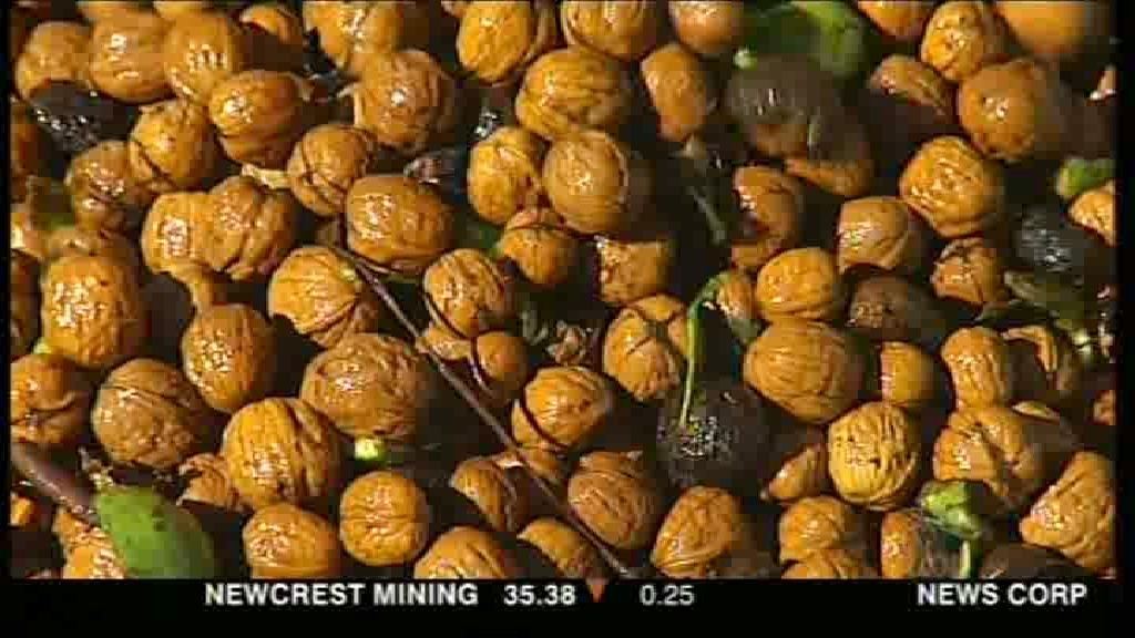 Chris Wisbey's Walnut Pie by Request - ABC News