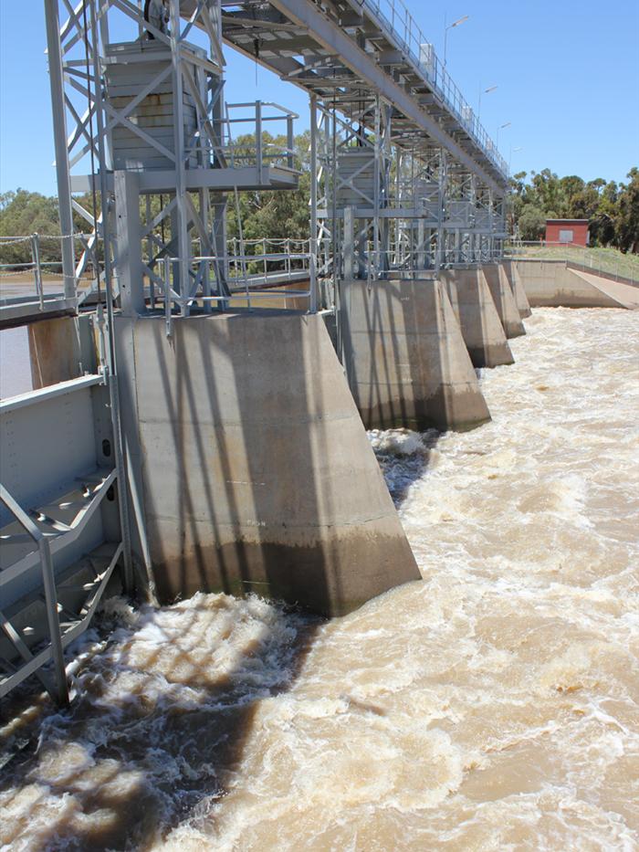 Full access given to River at Menindee - ABC News