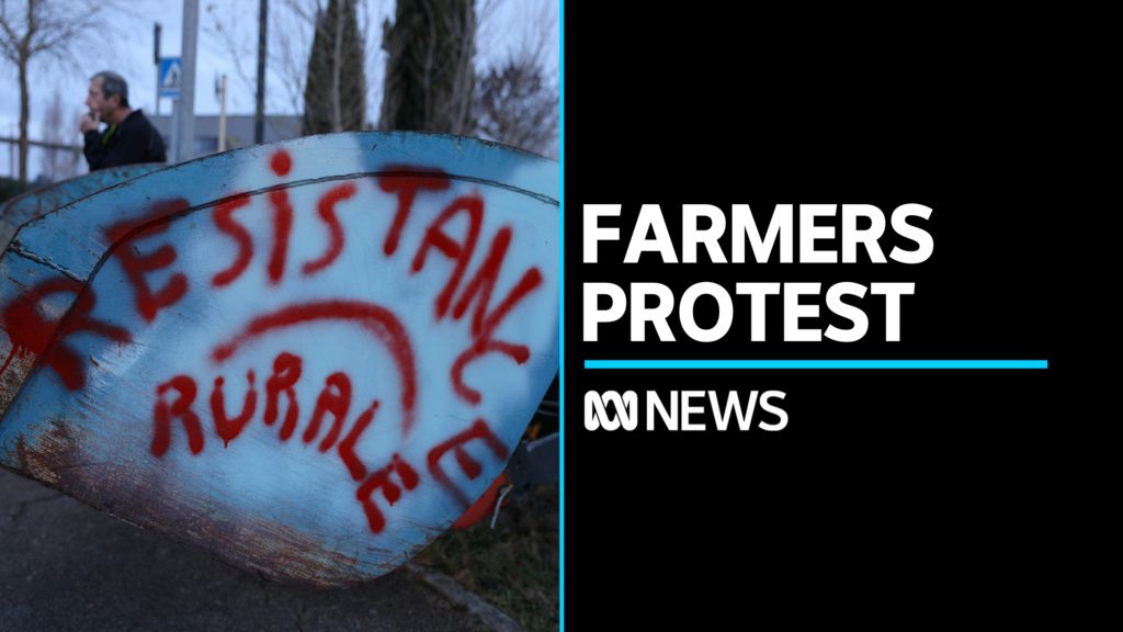 European farmers protest low wages and regulation - ABC News