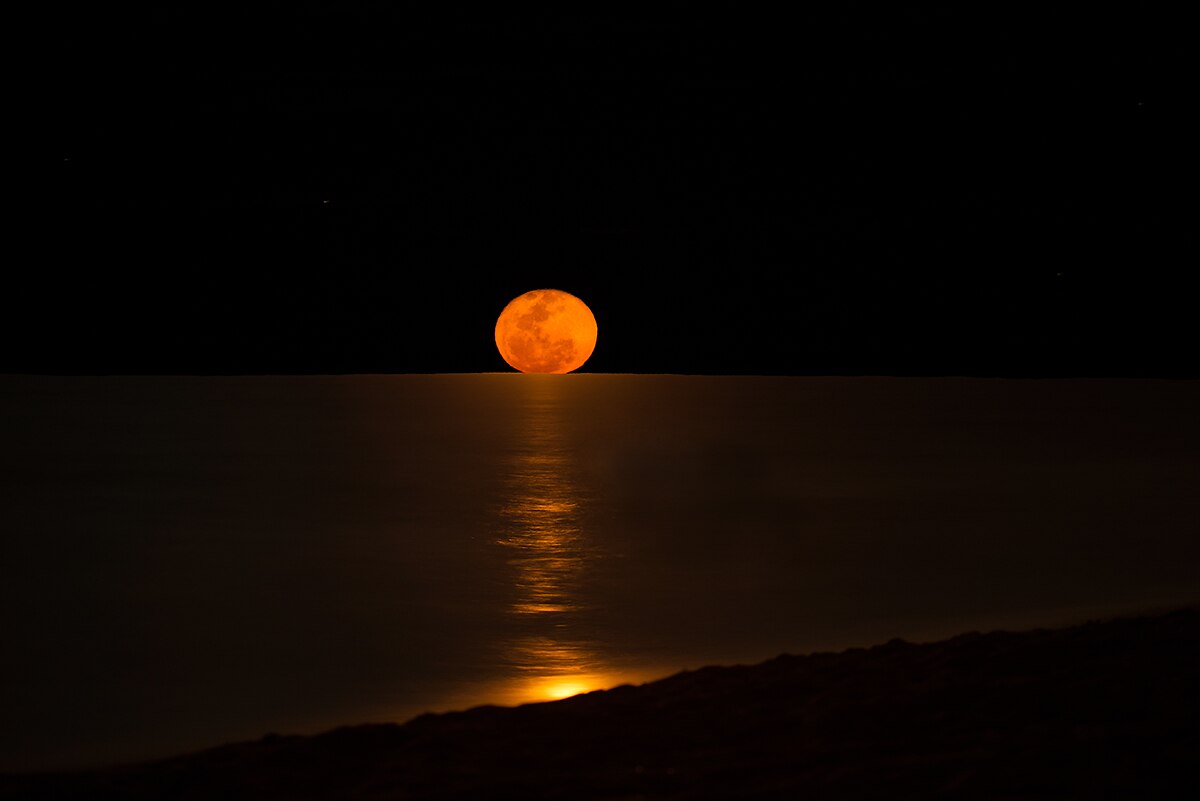 Australia to witness a rare blue-blood-super moon - ABC listen