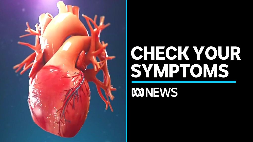 Looking back on Cyclone Alby four decades on - ABC News