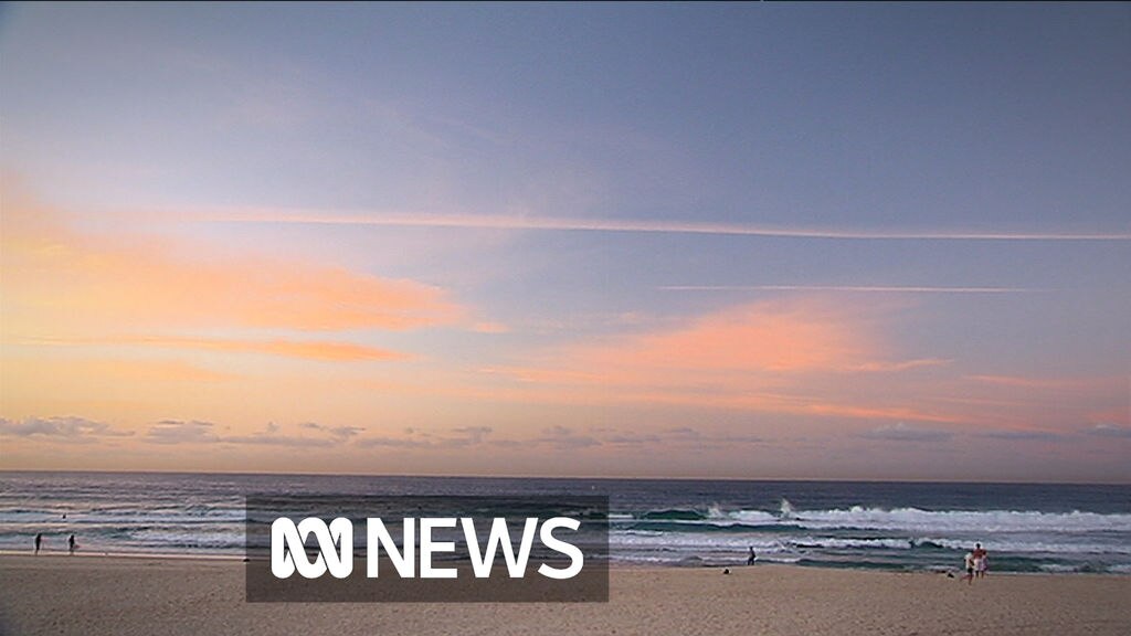 Microfibres from clothes are causing huge problems in our oceans - ABC News