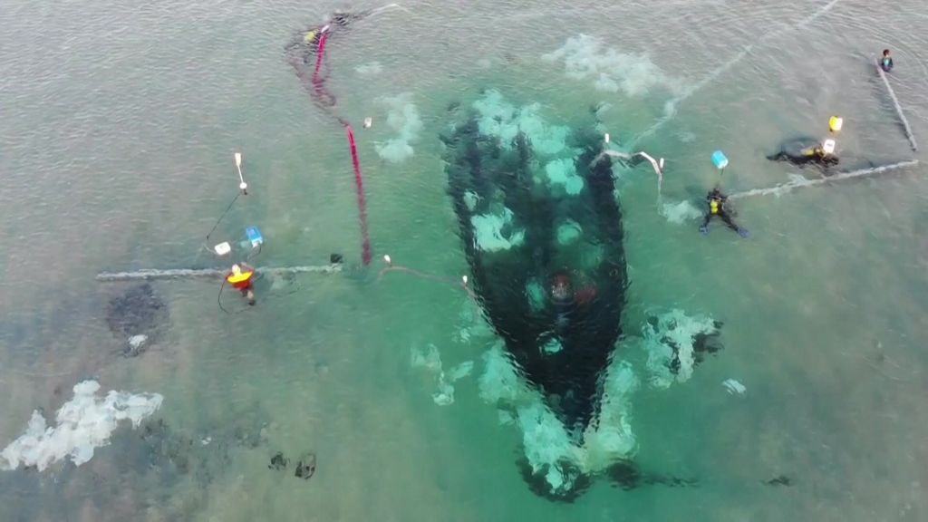 Historical shipwreck uncovered off the coast of Israel - ABC News