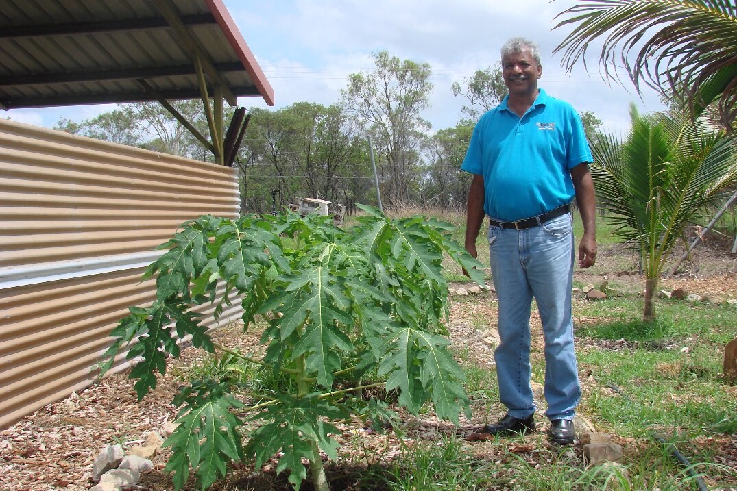 Indigenous community in Beswick to grow bush tucker plants in revamped ...