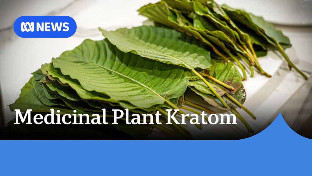 Kratom