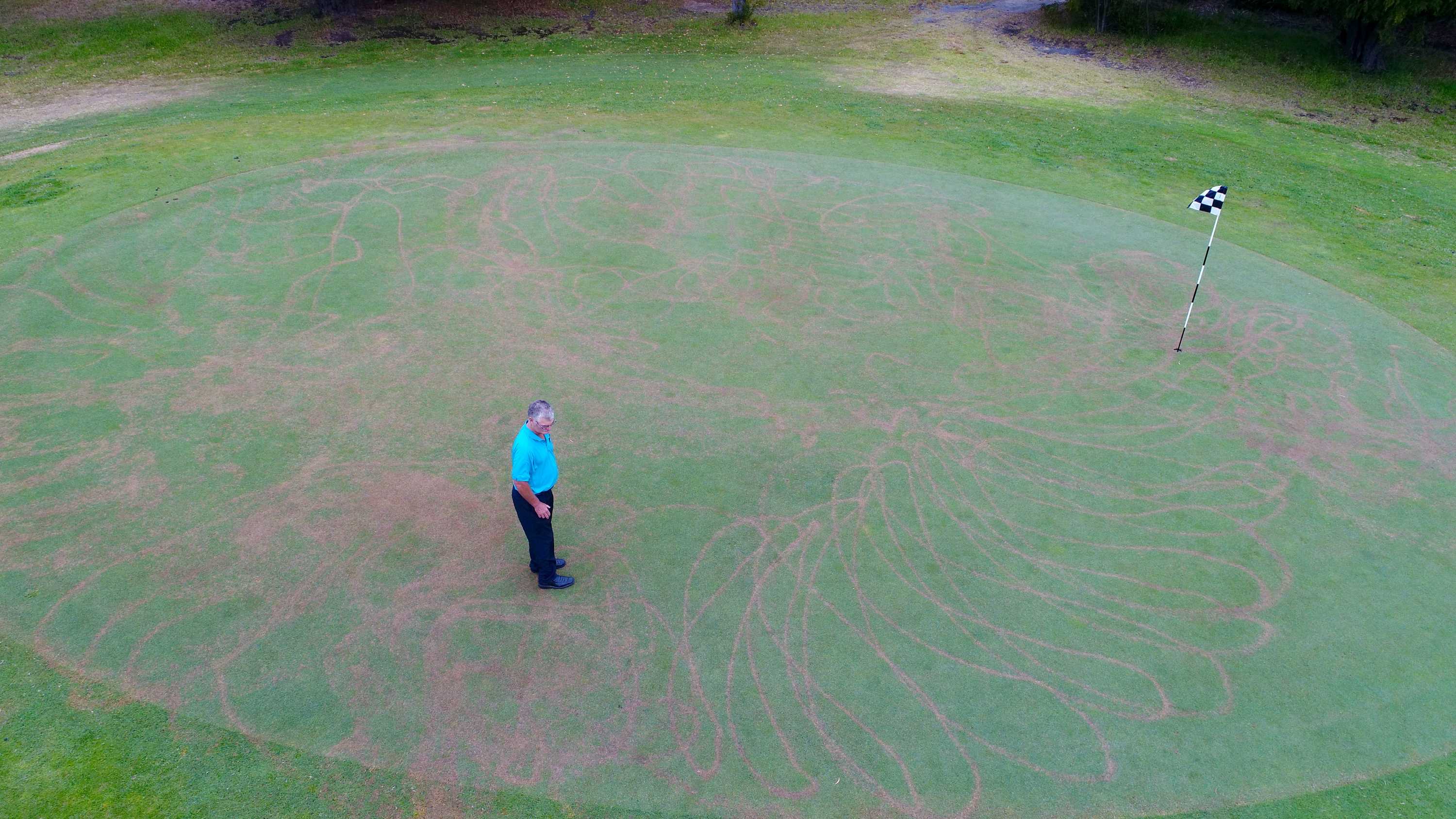 Vandals' 'ha ha' message to Denmark Country Club after golf course ...